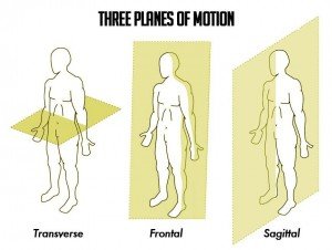 NASM CPT Study Guide Chapter 5 - Human Movement Science